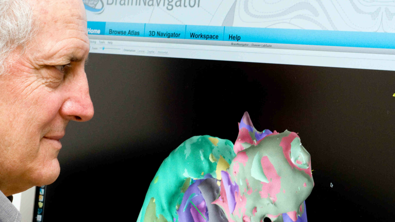 NeuRA | Brain navigator a NSW winner | Neuroscience Research Australia