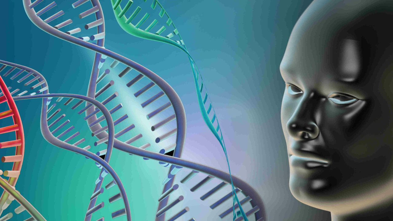 NeuRA | Genes help determine patients' responses to bipolar…