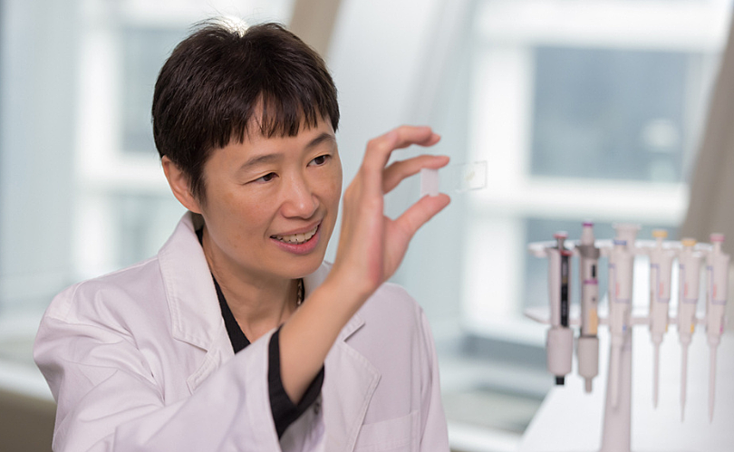 NeuRA | Genetic testing for mitochondrial diseases now available… NeuRA | Genetic testing for mitochondrial diseases now available…