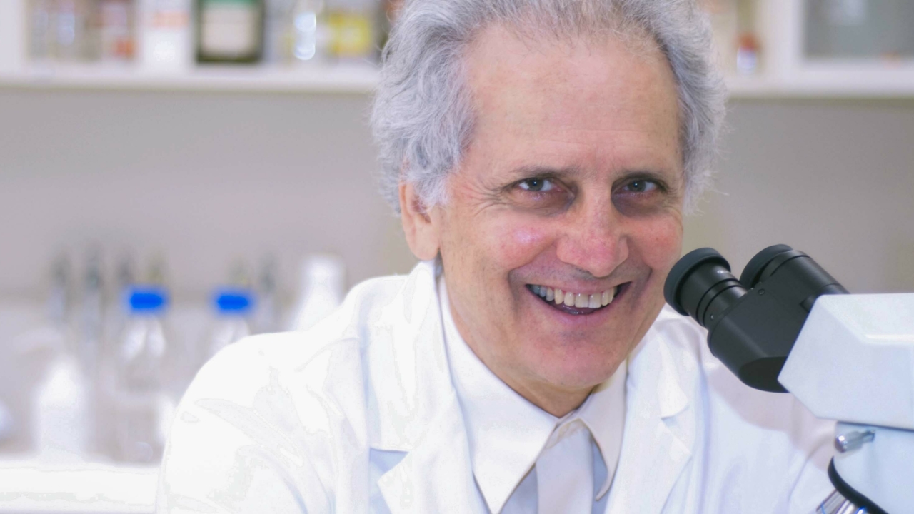 NeuRA | NeuRA’s grant success recognises emerging researchers