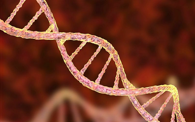 NeuRA | New key genes and genetic signals for bipolar identified