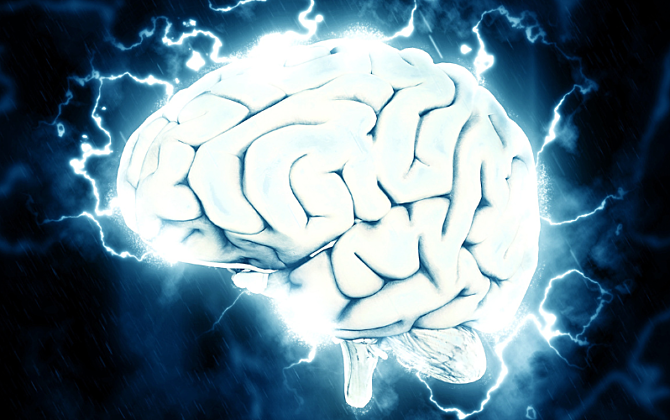 NeuRA | New Collaboration to Investigate Brain Microbiome