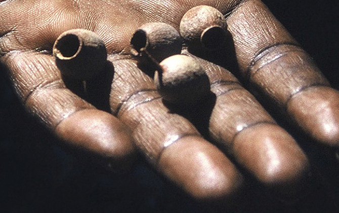 NeuRA | Researchers call for more culturally appropriate health and…